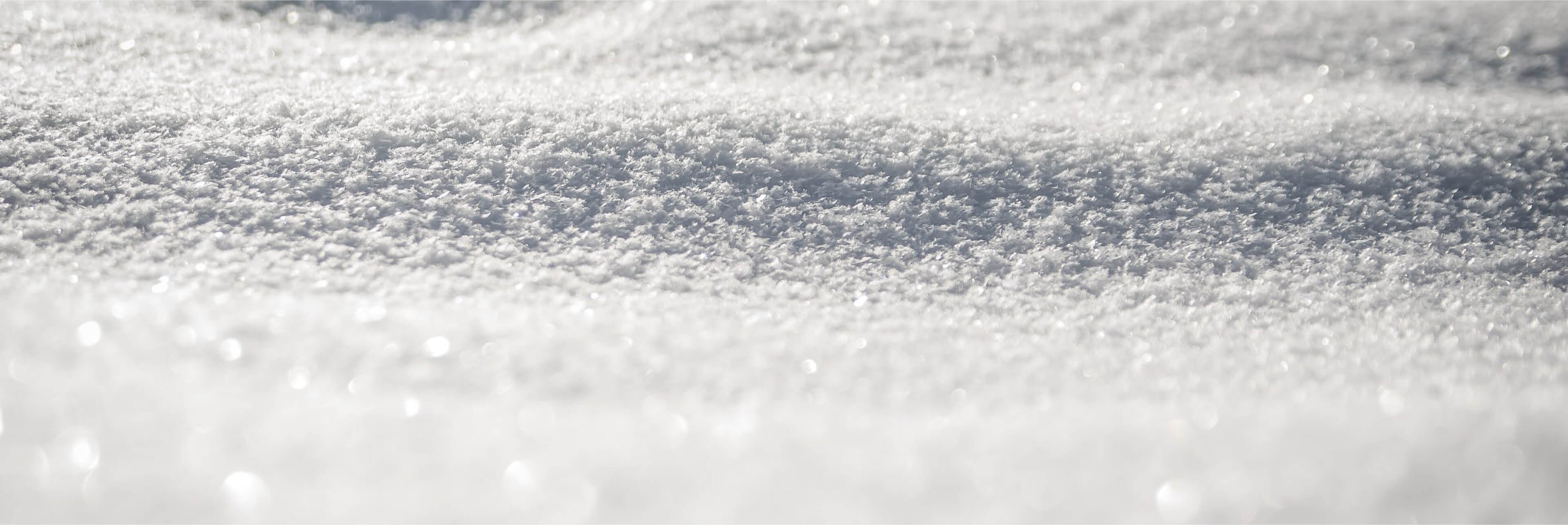 Mentos Pure Fresh Gum Fresh Mint - 80pc Paperboard Bottle | Mentos US